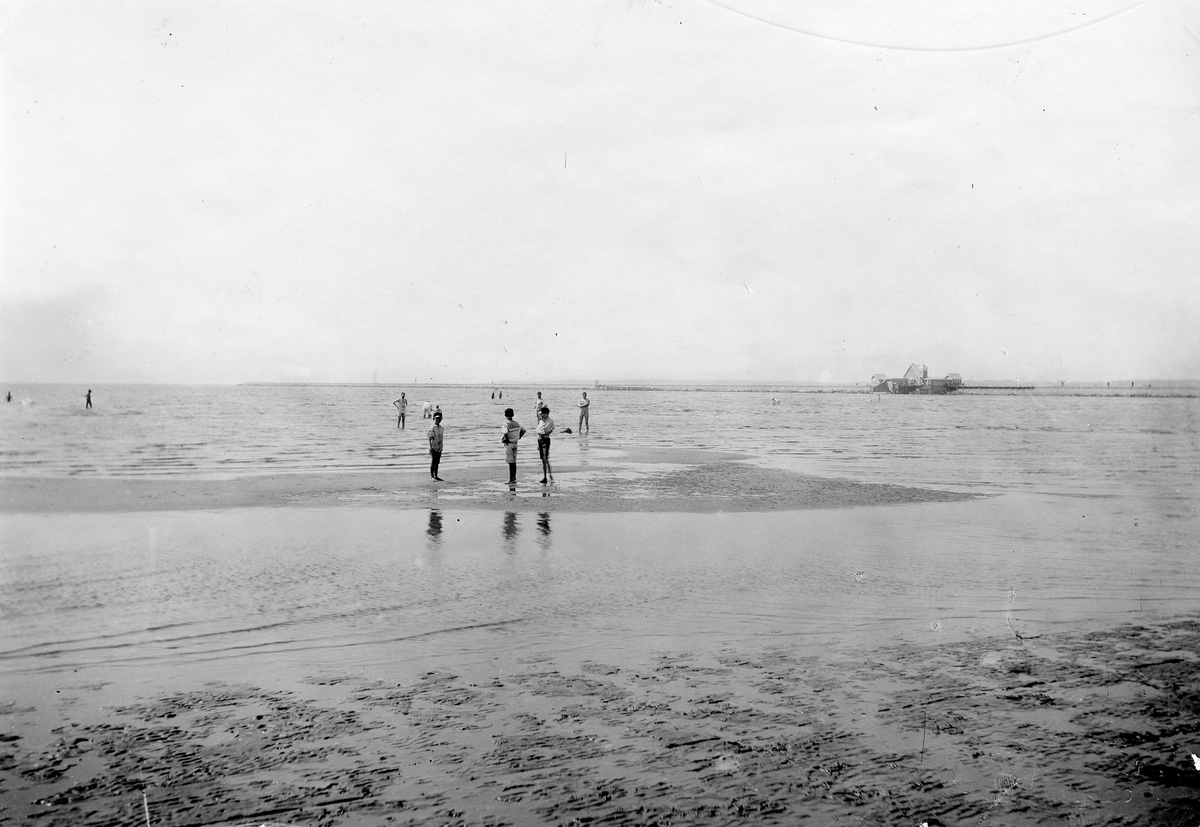 Havsbaden, Östra stranden - Hallands Konstmuseum / DigitaltMuseum