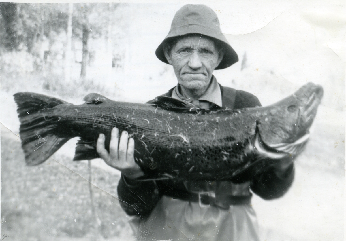 Mann med sydvest holder en stor fisk i hendene. Det andre bildet som ...