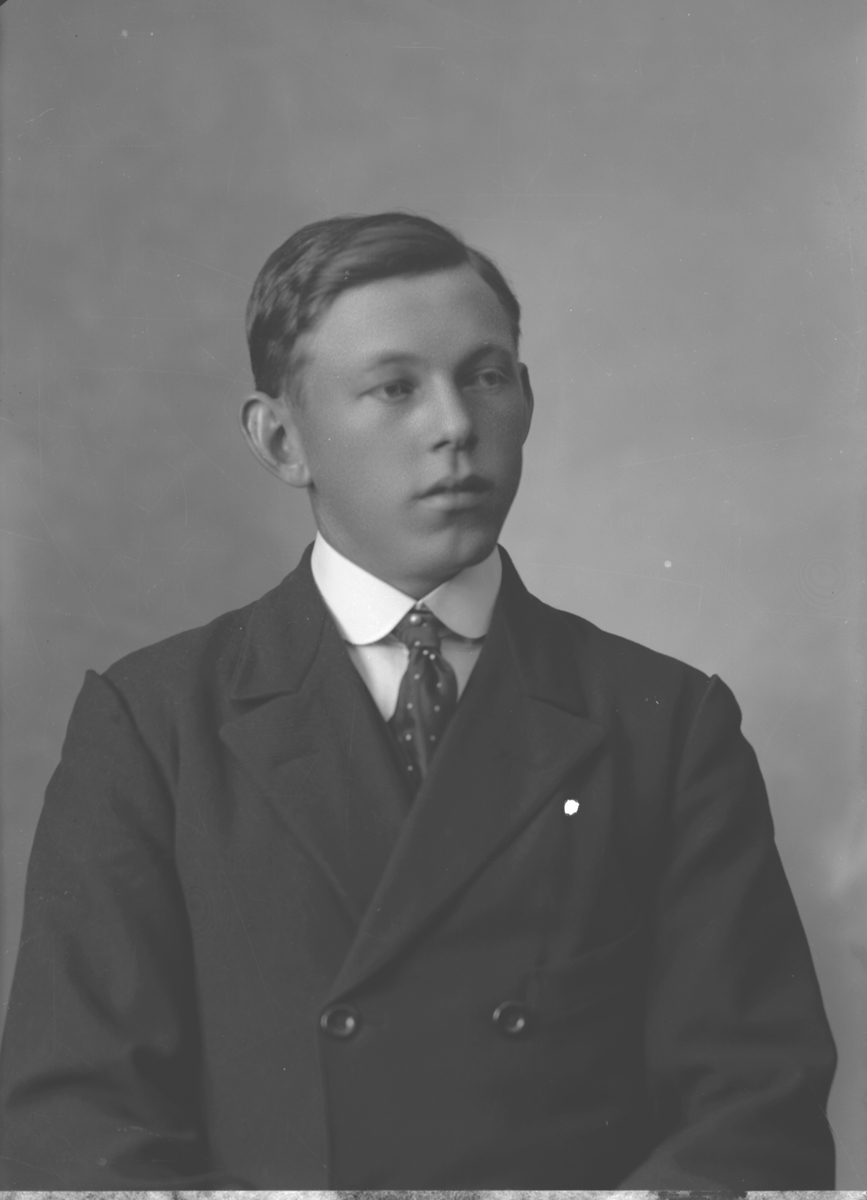 Gustaf Carlsson - Länsmuseet Gävleborg / DigitaltMuseum