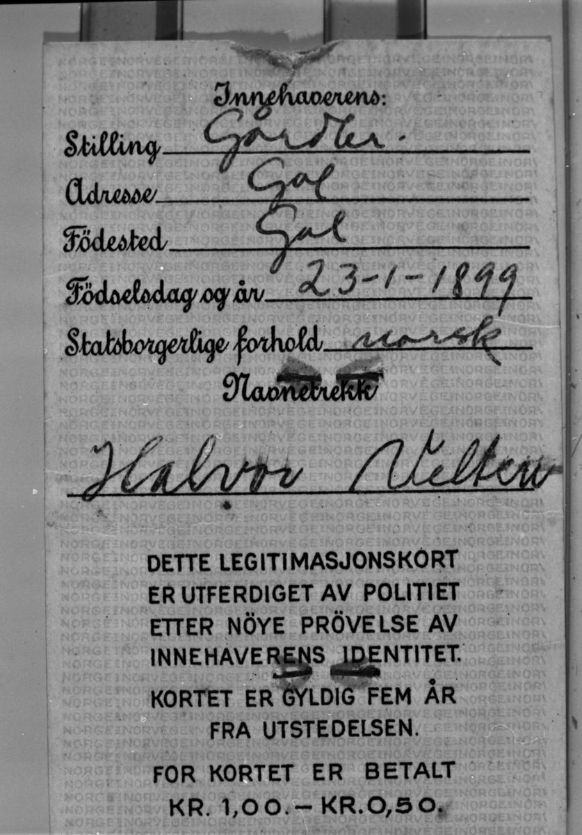 Legitimasjon frå 1941 for Halvor Velten. - Gol bygdearkiv / DigitaltMuseum