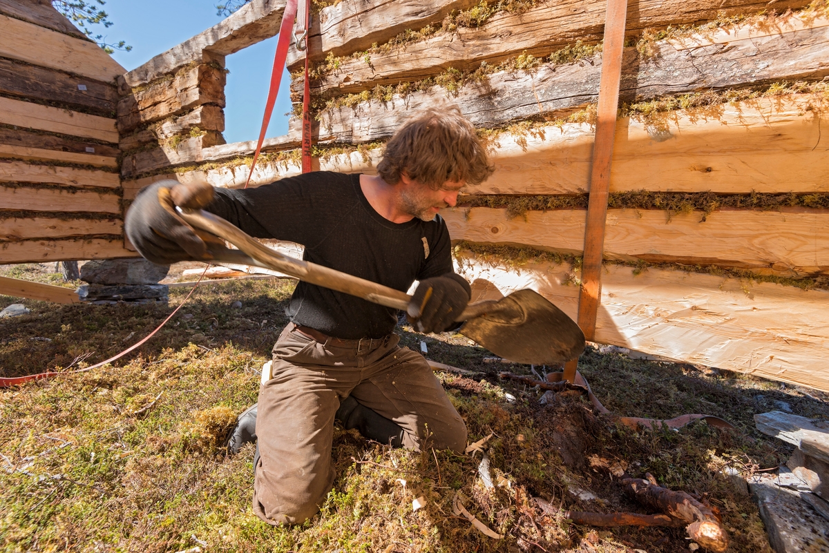 Arbeid med å sette opp buret på Daniel Mortenssons vinterboplass ved ...
