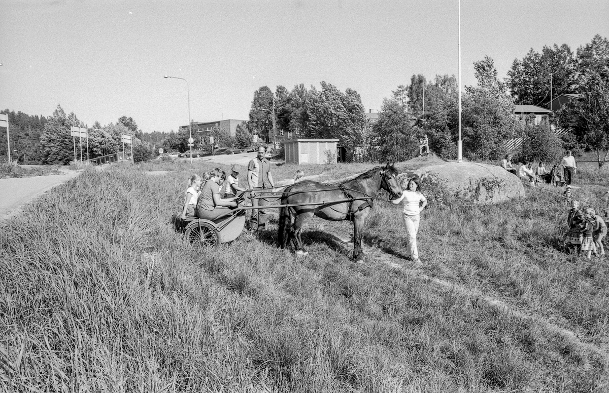 Siggeruddagen 1982. Lek med sekkeløp, hest og sulky med barn, barn og ...