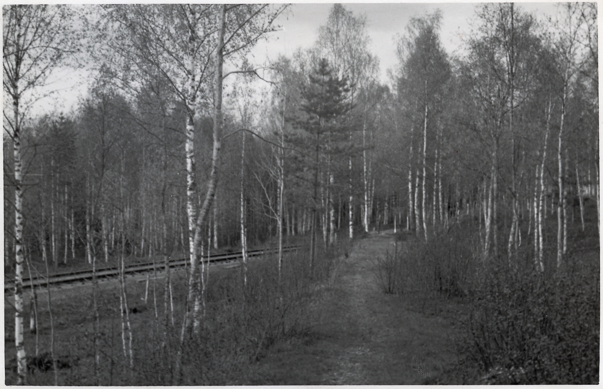 Banvall på Norbergs Järnväg. - Järnvägsmuseet / DigitaltMuseum