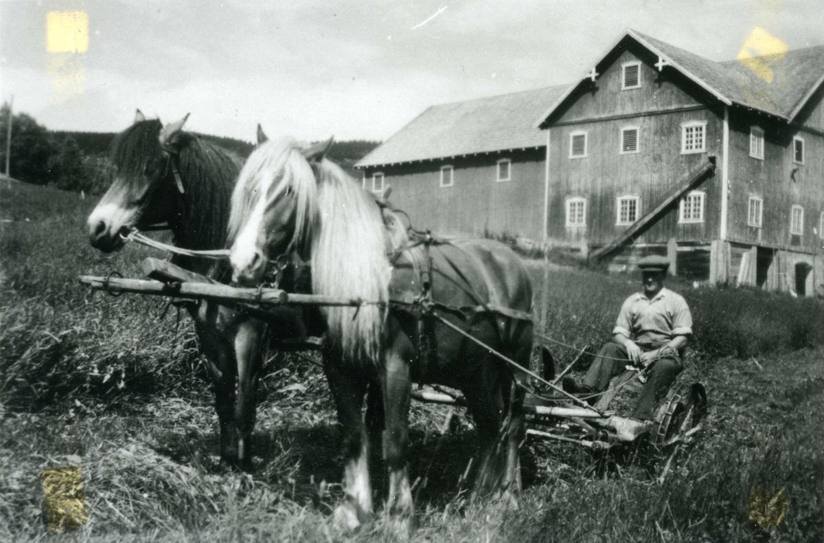 Øistad, Nord-Torpa - Lands Museum / DigitaltMuseum