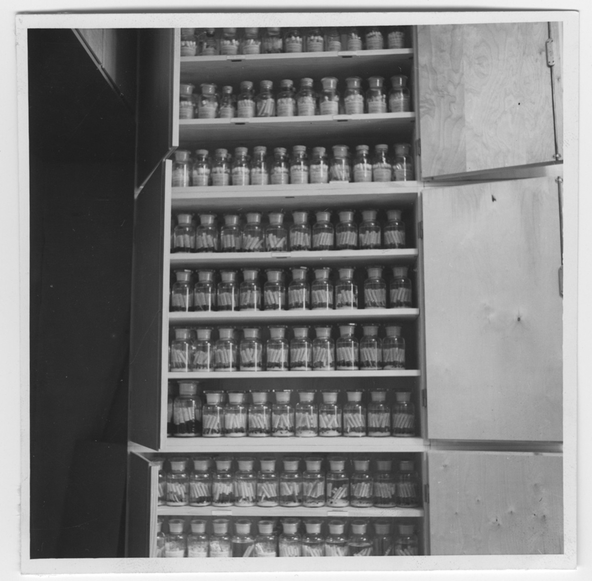 Skåp med öppna dörrar, fyllt med små glasburkar med kork innehållande ...