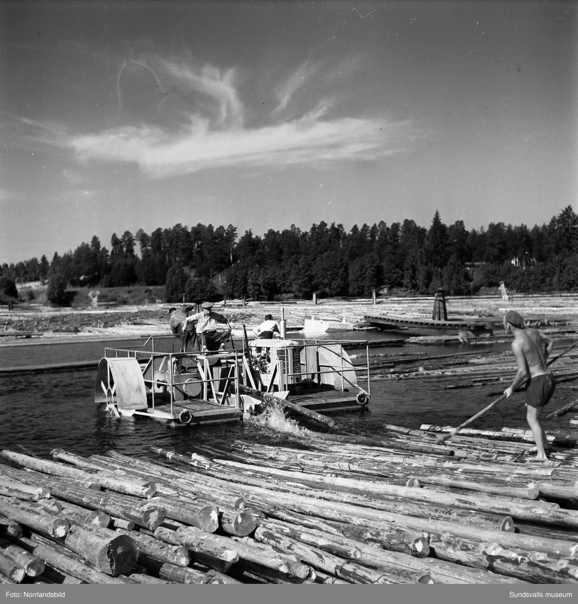 Stödläggningsmaskin för timmersortering i Ljungan, uppströms gamla bron ...