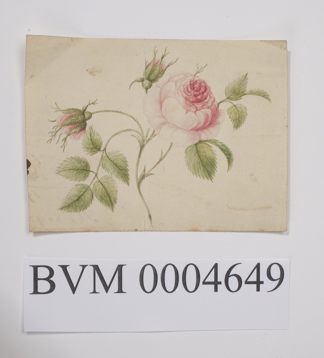 Tegning - Norsk Bergverksmuseum / DigitaltMuseum