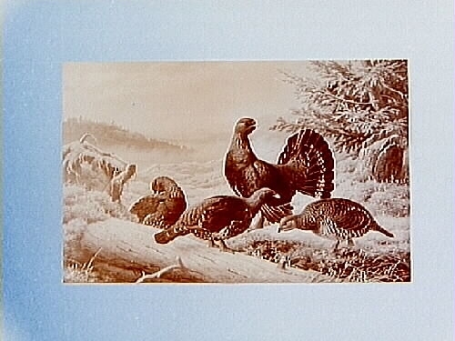 Örebro Läns Museum, Slottet. Tjäderlek, oljemålning av Ferdinand von ...