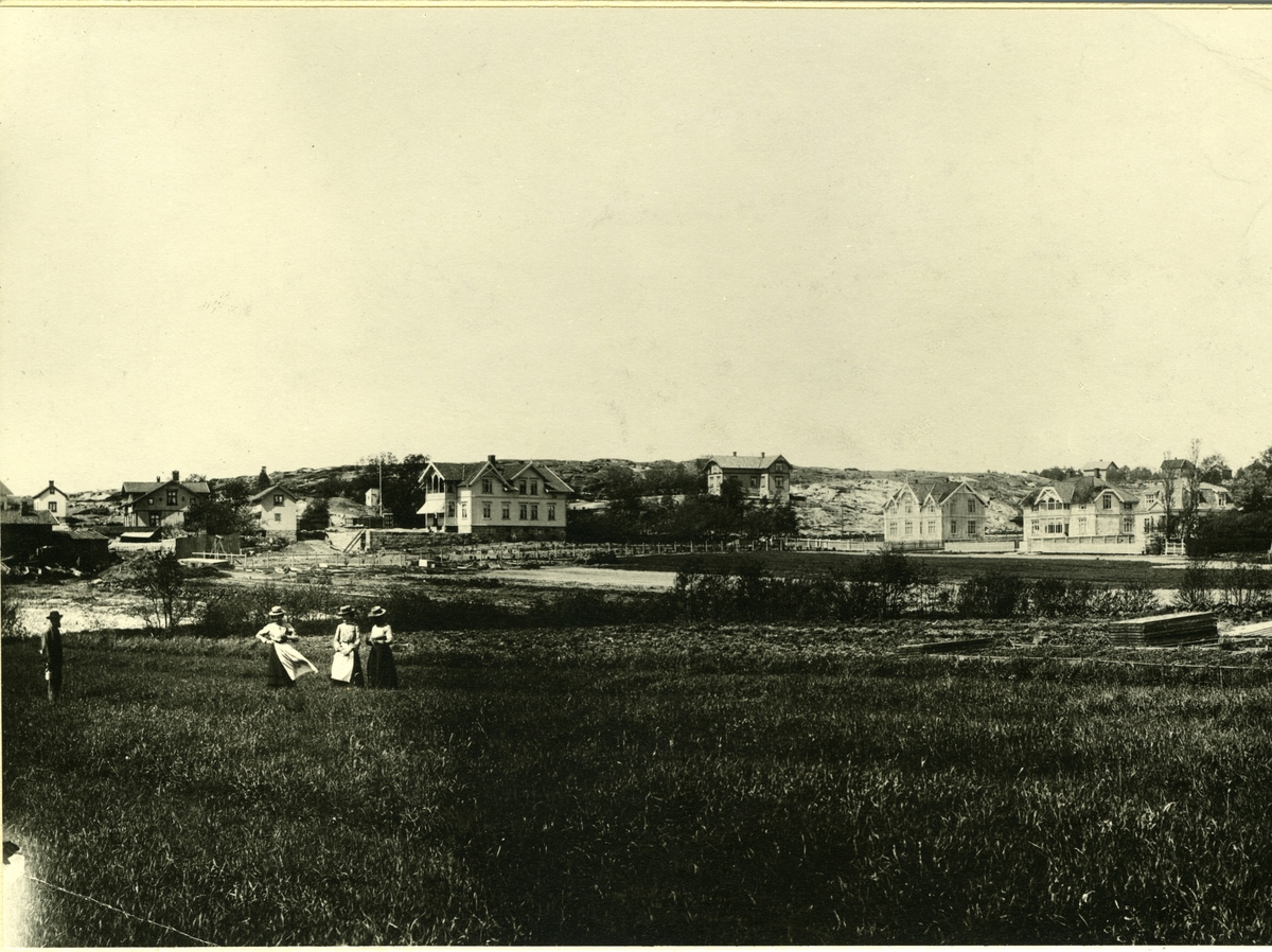Mann og tre kvinner på et jorde på Trara. Strands løkke Hannestads ...