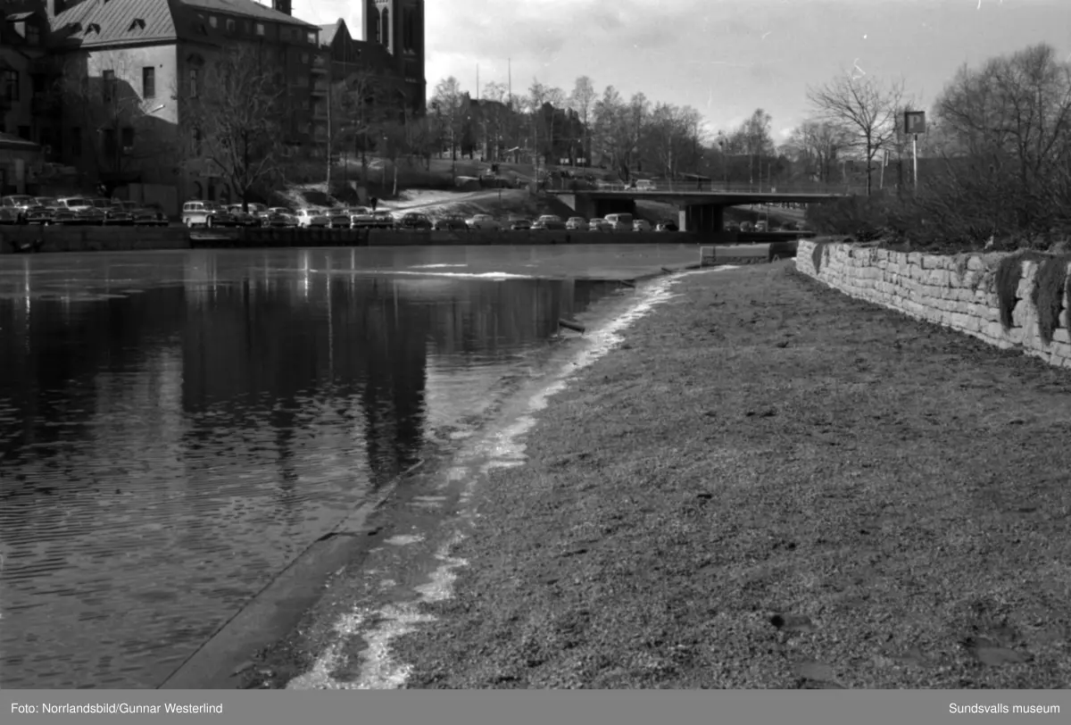 Vårflod med högt vattenstånd i Selångersån. Bilder från områdena på ...