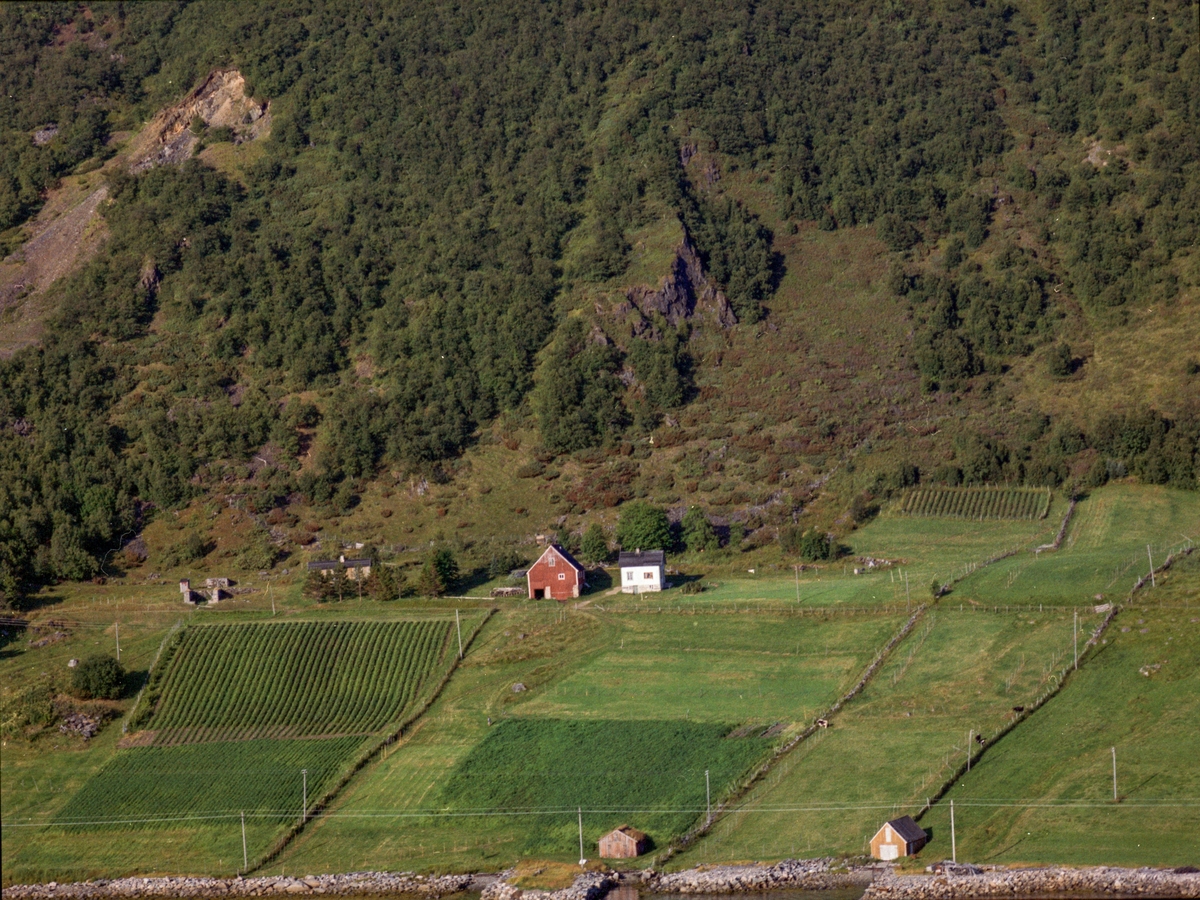 Flyfoto fra Kveøy i Kvæfjord. - Sør-Troms Museum / DigitaltMuseum
