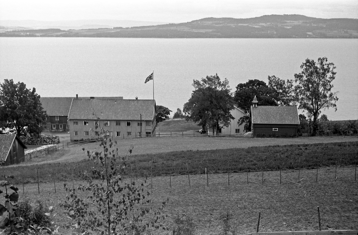 Billerud August 1945. - Mjøsmuseet / DigitaltMuseum