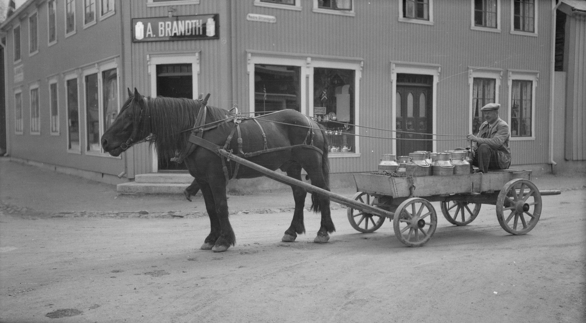 Mann med hest og vogn, melkespann. I Strandgata utenfor A. Brandht. - Helgeland Museum ...
