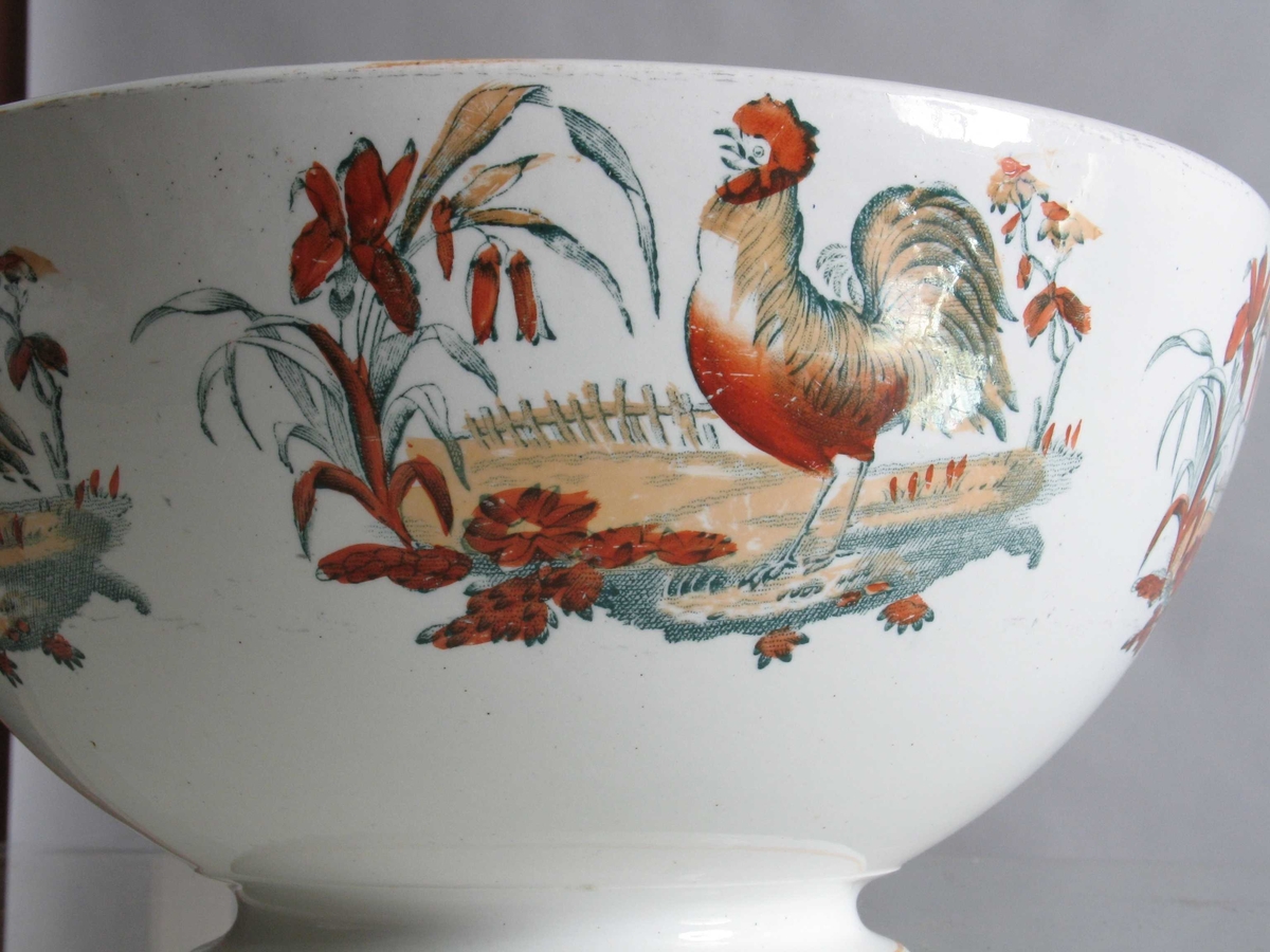 Bolle - Aust-Agder museum og arkiv – KUBEN / DigitaltMuseum