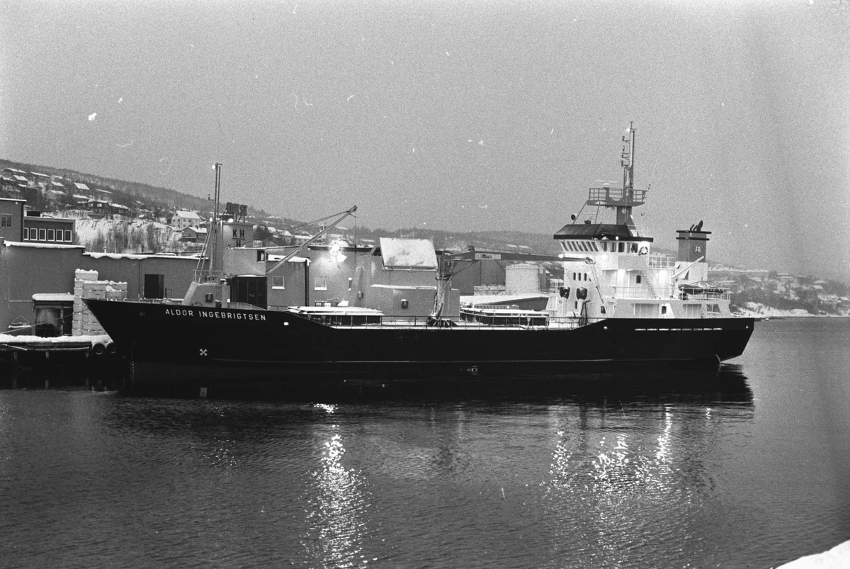 M/S "Aldor Ingebrigtsen" ved kai hos Kristian Holst. - Sør-Troms Museum ...