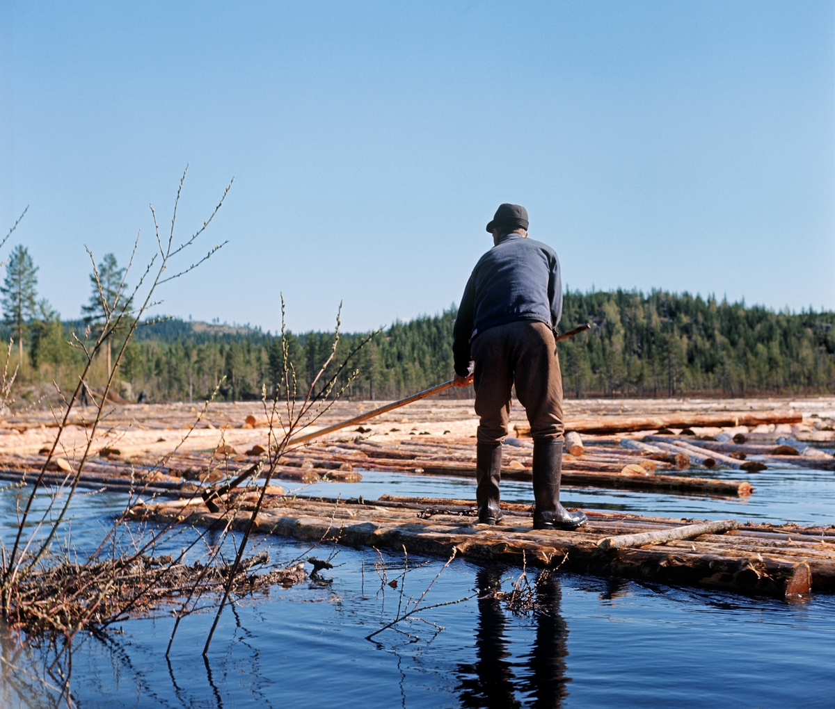Tømmerfløter i arbeid på en tømmerflåte ved strandkanten på en innsjø ...