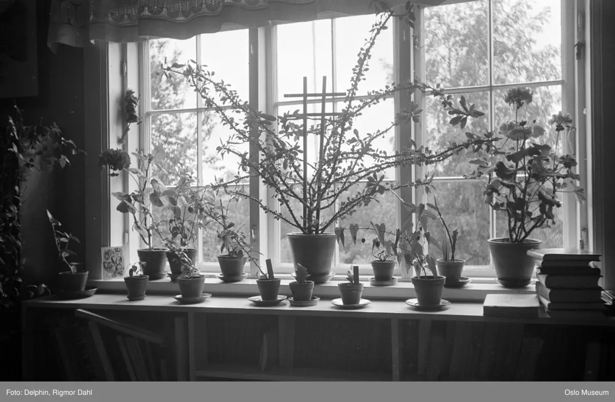 Hos Sigrid Undset på Bjærkebæk. - Oslo Museum / DigitaltMuseum