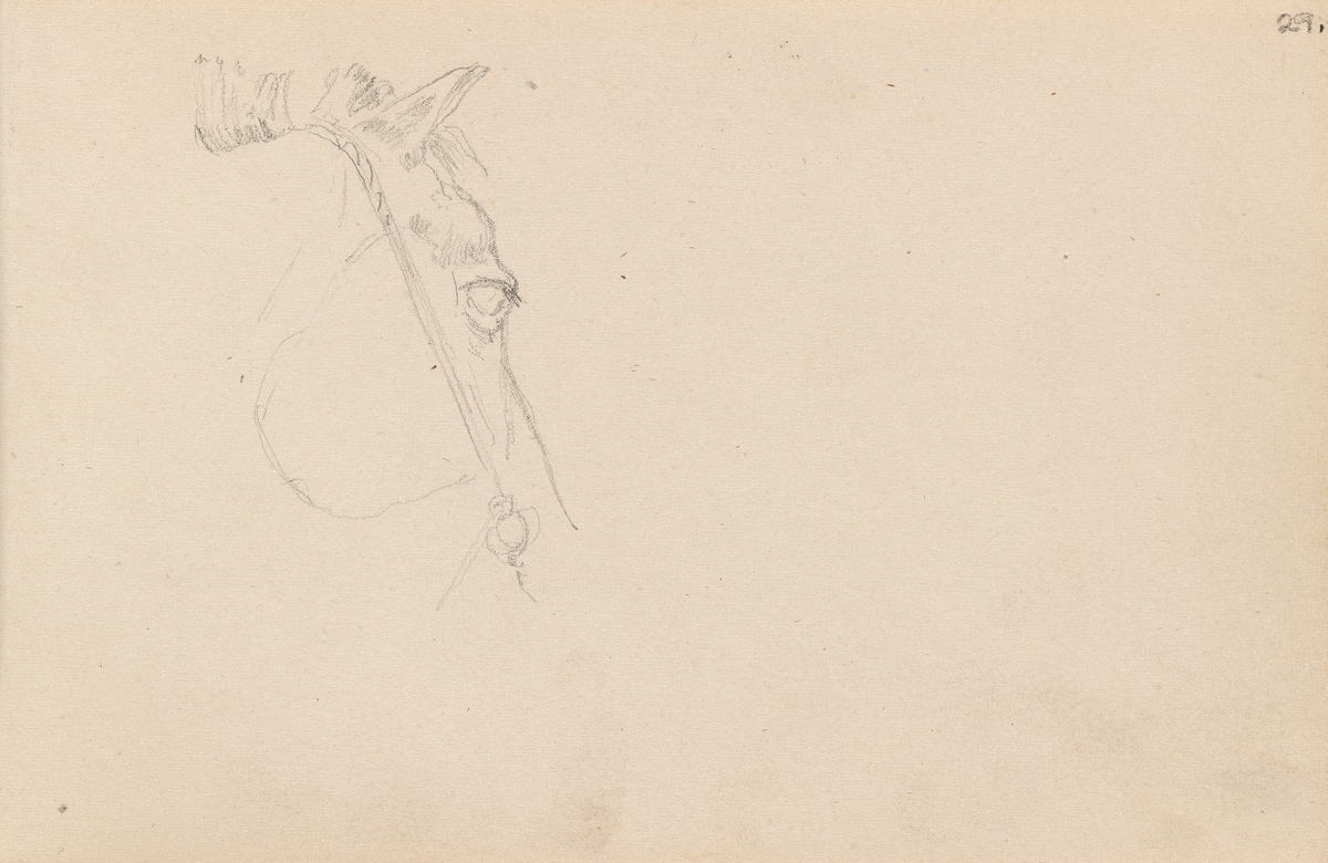 Hestehode [Tegning] - Nasjonalmuseet, billedkunstsamlingene ...