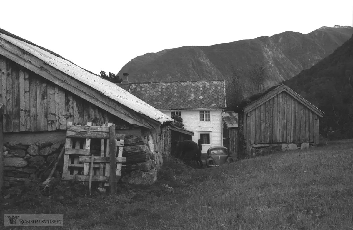 Hos Ola O. Sandnes f.13.05.1931 d.24.11.2022..f.v: Steinfjøset ...