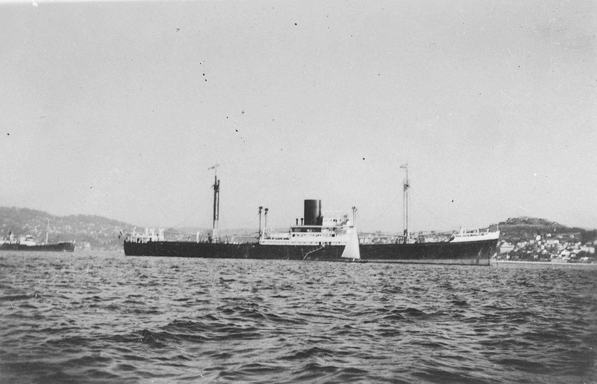 S/S Orizaba (kopiplate) - Sverresborg Trøndelag Folkemuseum ...