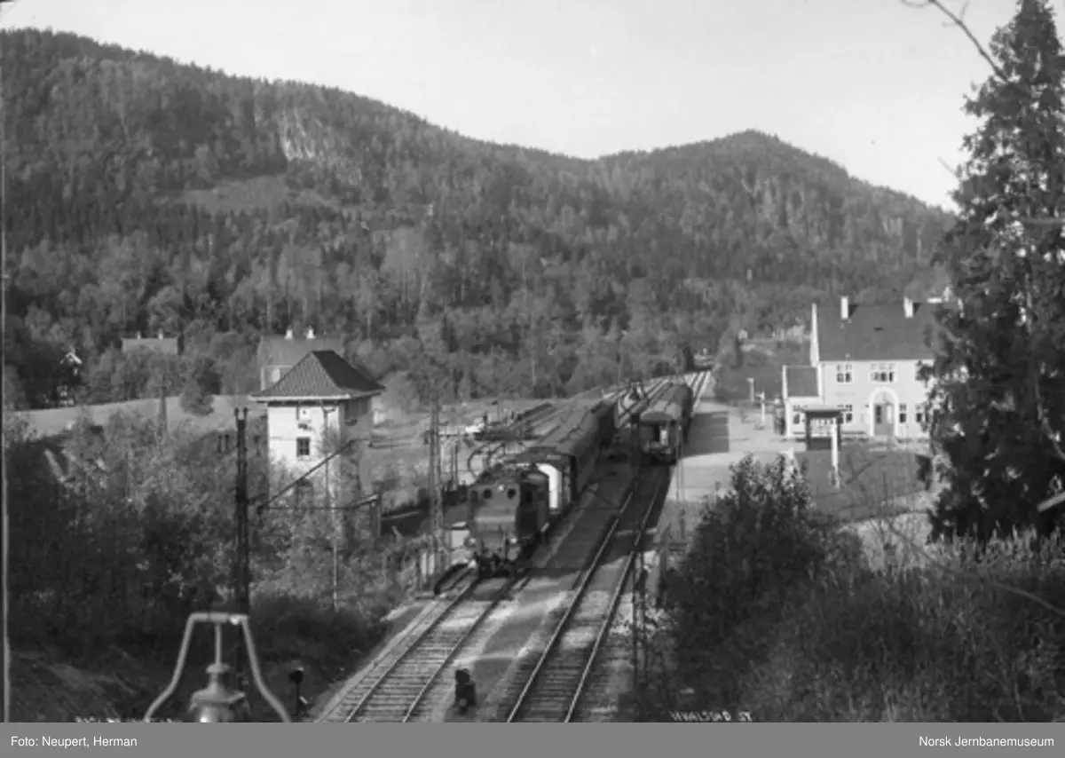 Hvalstad stasjon : kryssing mellom to persontog, et elektrisk lokomotiv ...